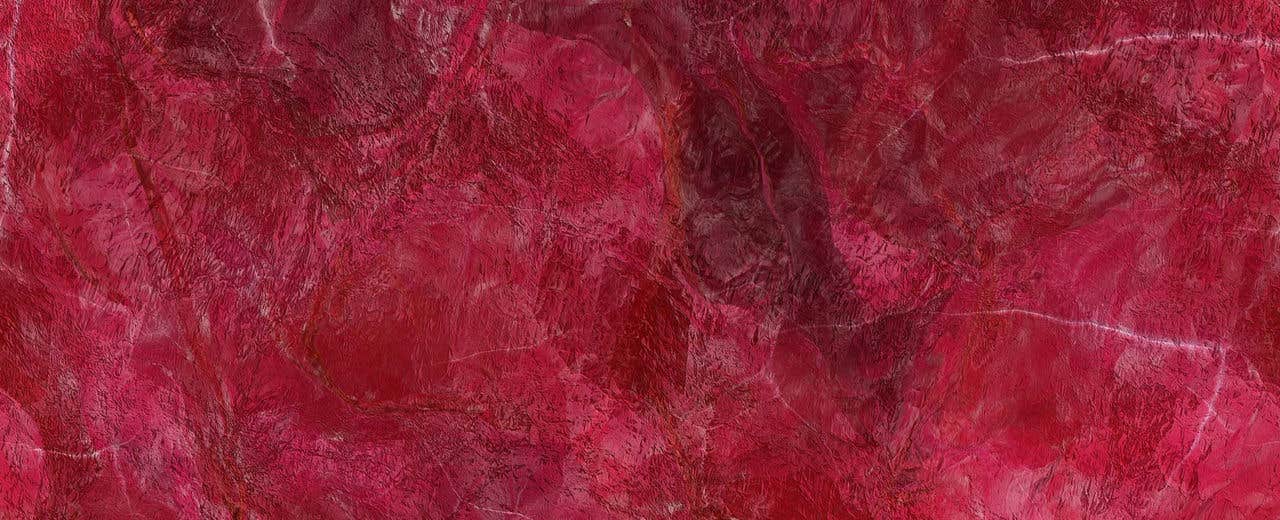 Venetian Rewards | Ruby Tier | The Venetian Resort Las Vegas